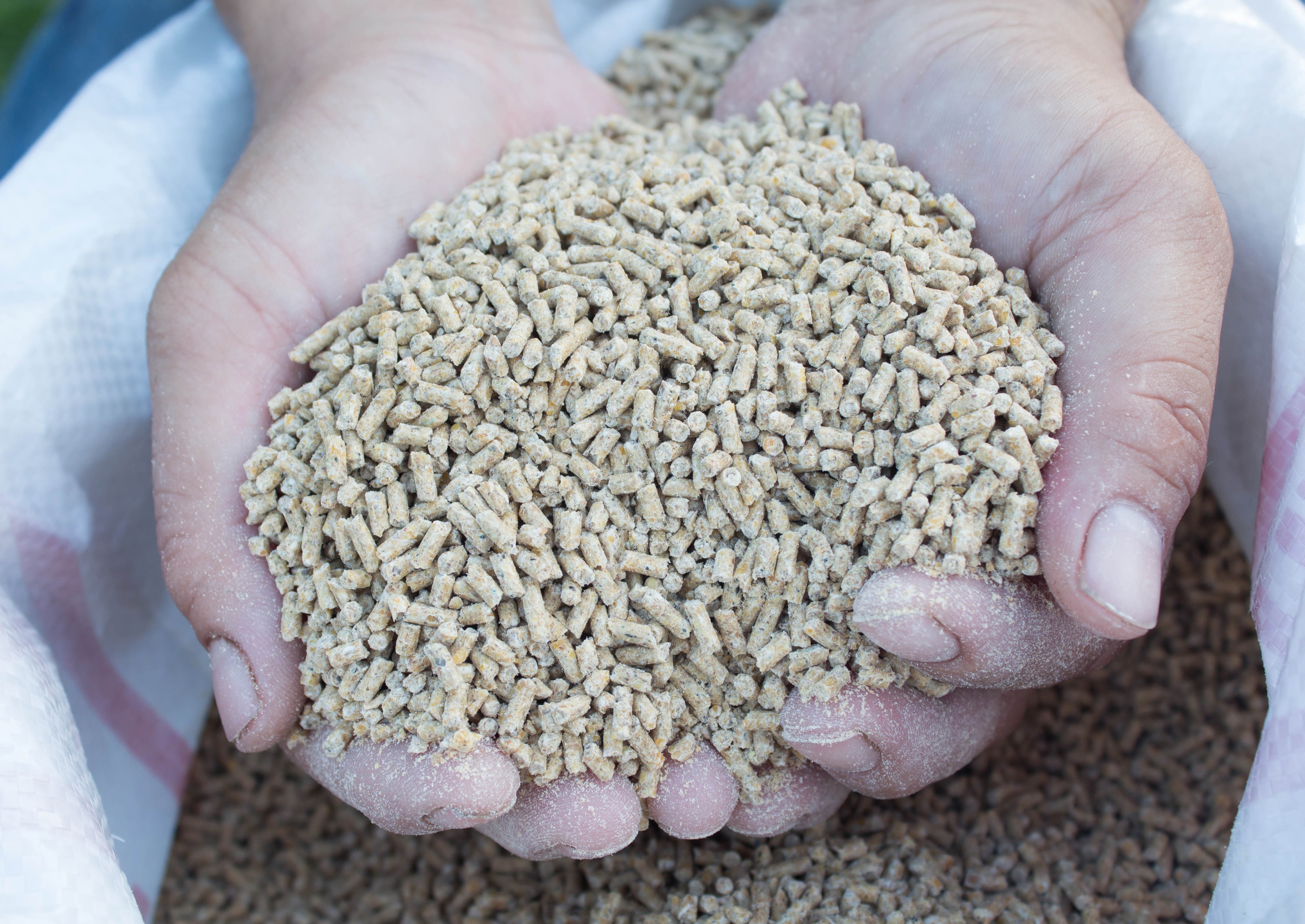 animal feed and animal feed ingredients